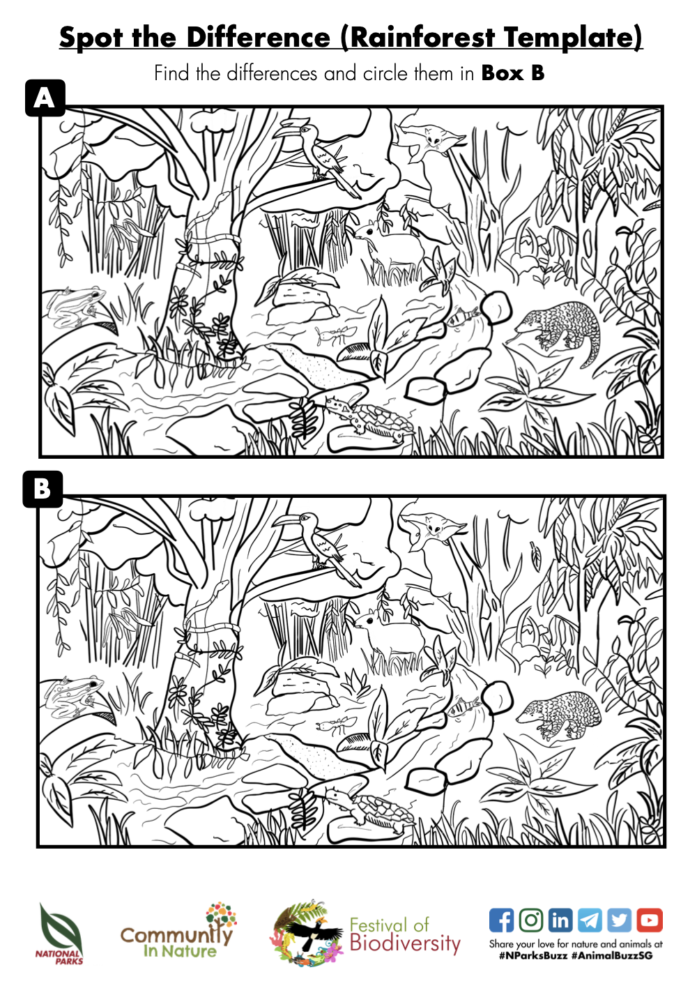 Stay Home Activities